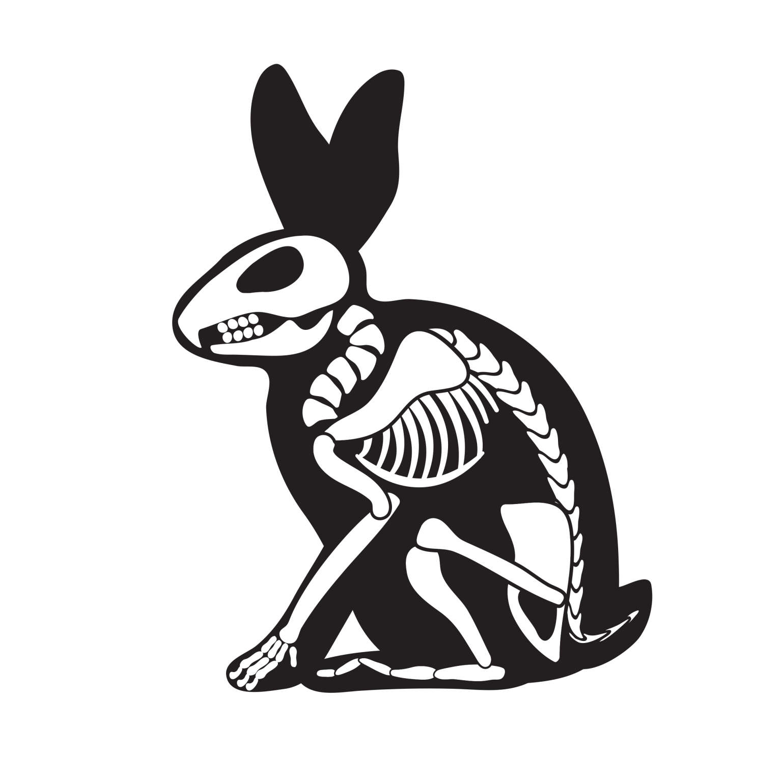 Using rabbits as animal models: Common applications, choosing a breed ...